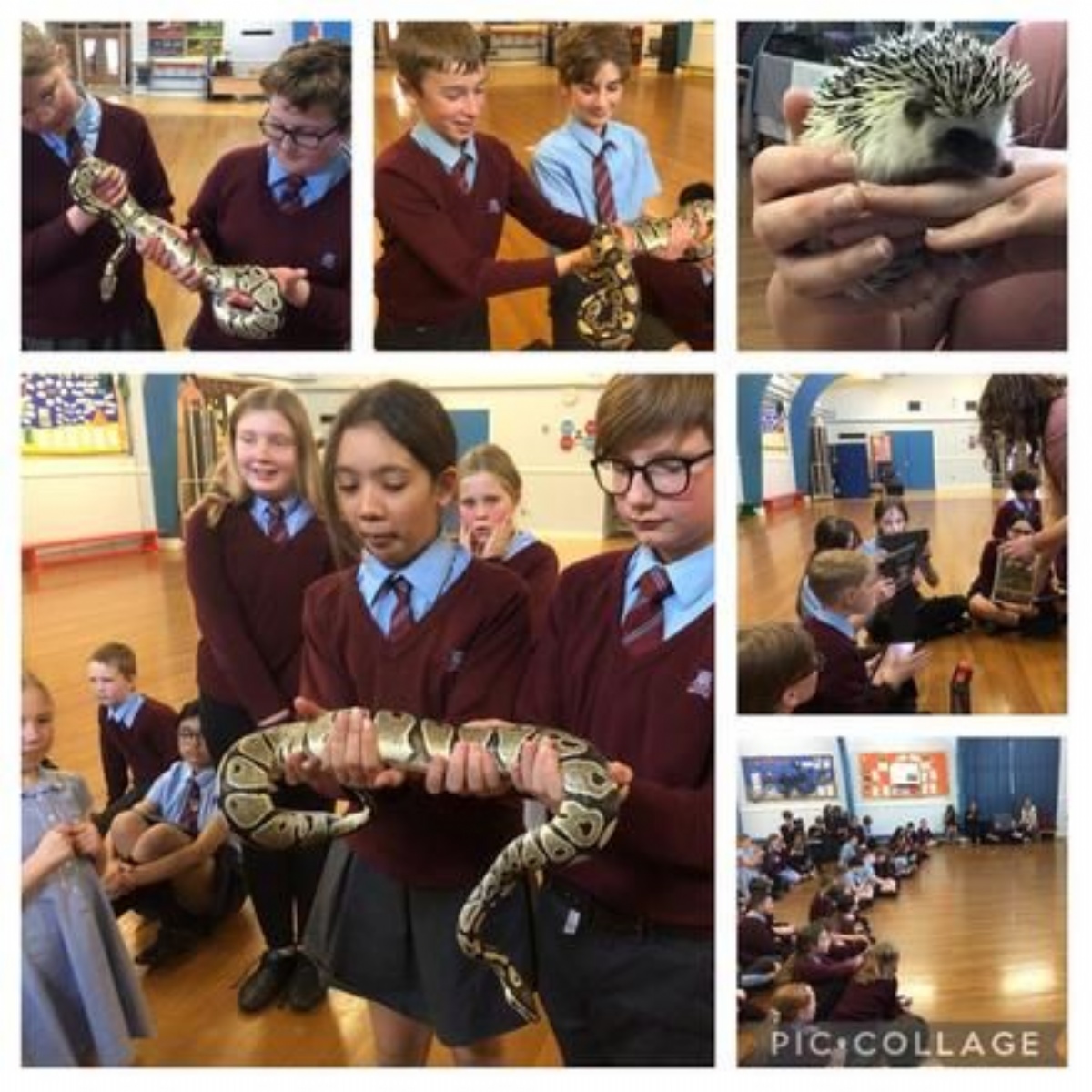 William Alvey C of E School - The Bug Lady in Year 6